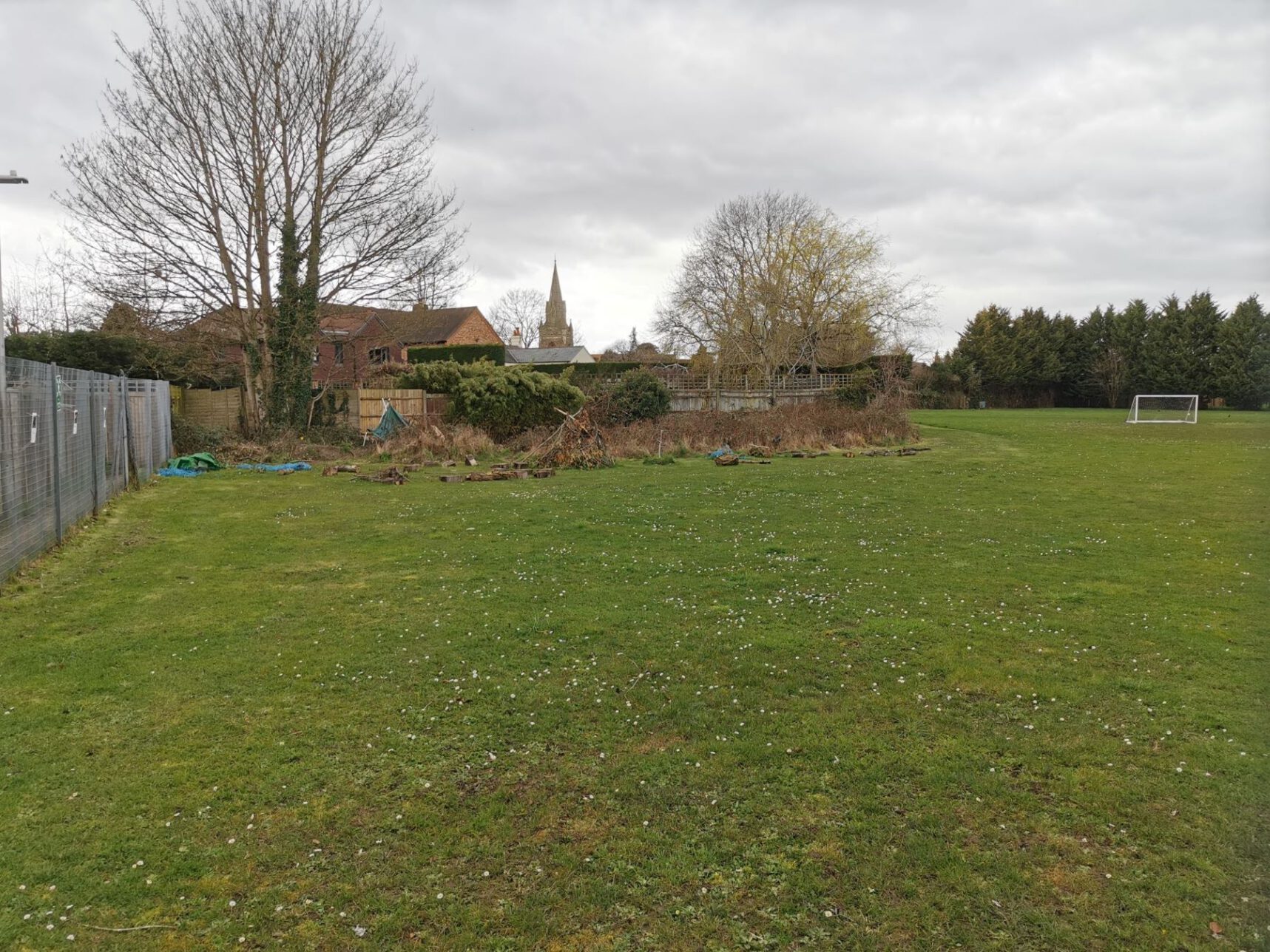 Setting up a Forest School Site from Scratch - Leaves of Green