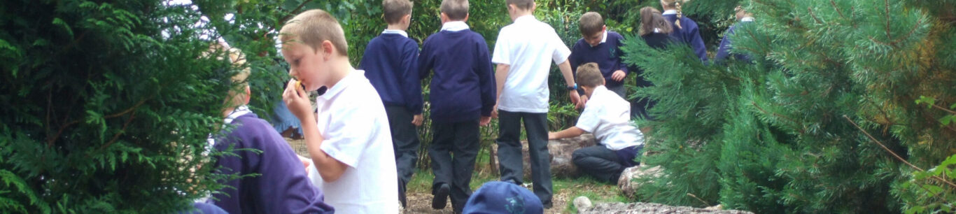 Forest School Design and Build - Leaves of Green